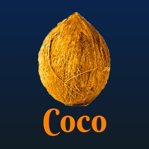 Coco , le Uber made in Martinique – CaraibEtude